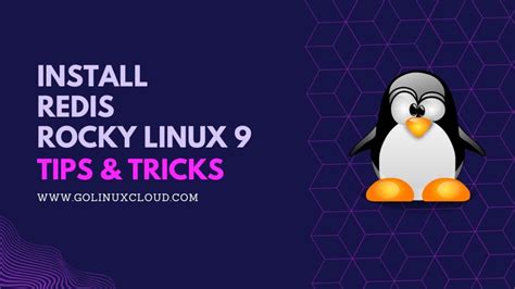 Install Redis Server On Rocky Linux Step By Step Golinuxcloud