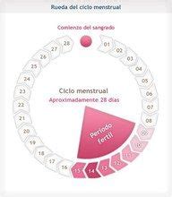 Calcular La Fecha De Ovulaci N Cu Les Son Los D As M S F Rtiles Para
