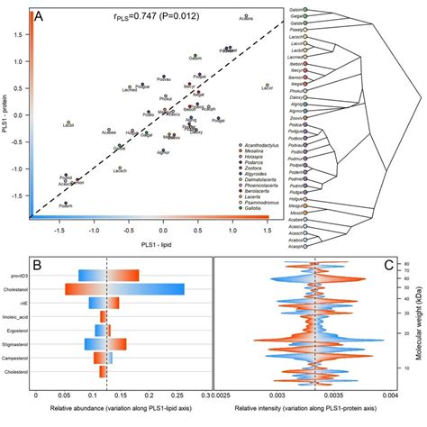 representation of the phylogenetic partial least square regression download scientific diagram