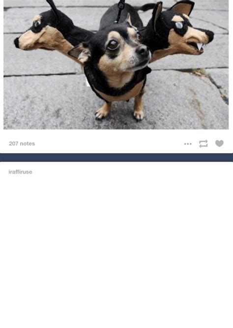 Thumbs Pro Aldihuana Tumblr Post 125097945224