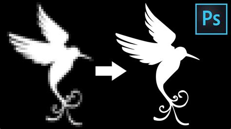 Photoshop Tutorial How To Convert Raster Image To Vector Image In