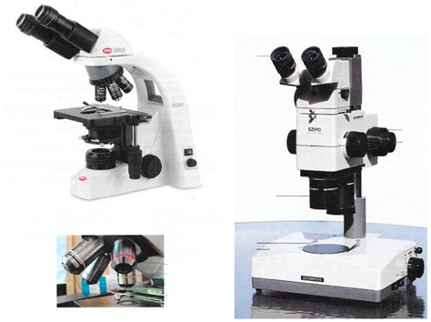 Lab 1 Microscope Diagram Quizlet