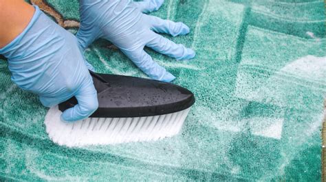 How To Shampoo The Carpet Fast Easy Guide By Fantastic Cleaners