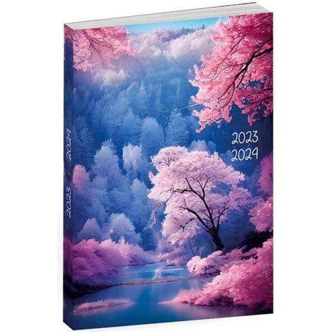 Agenda Scolaire ANONYM Poetic River 2023 2024 Cdiscount Beaux Arts Et