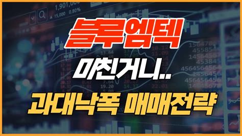 블루엠텍 미친거니 과대낙폭 긴급 매매전략 물리신 주주분들은 19 000원 공모가 반등 타이밍 꼭 활인