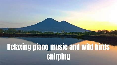 Relaxing Piano Music And Wild Birds Chirping Birds Singing