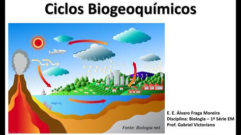 Os Ciclos Biogeoquímicos São Fundamentais Para SOLOLEARN