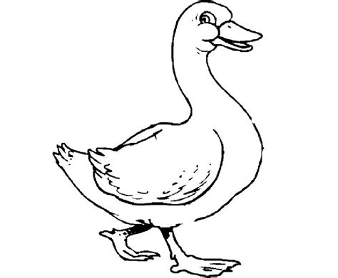 Pato Animado Para Colorir Desenhos Para Colorir