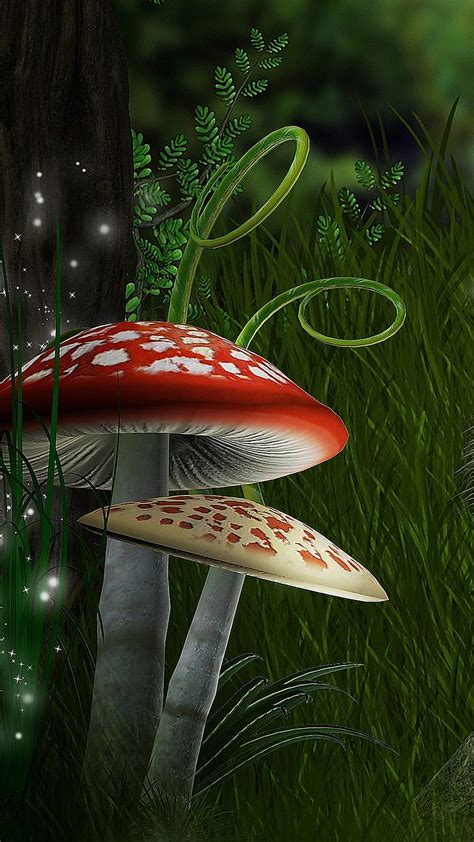 Aggregate 59 Aesthetic Mushroom Wallpapers Latest In Cdgdbentre