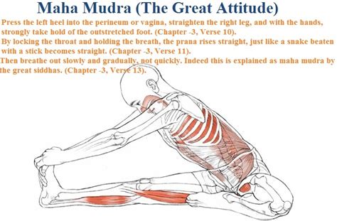 Maha Mudra The Great Attitude Karuna Yoga Vidya Peetham Bangalore