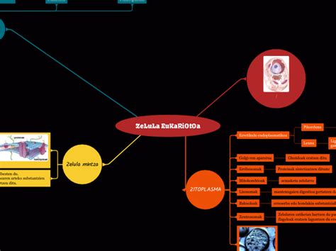 ZeLuLa EuKaRiOtOa Mind Map