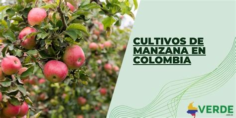 Como influye la química en la agricultura Colombia Verde