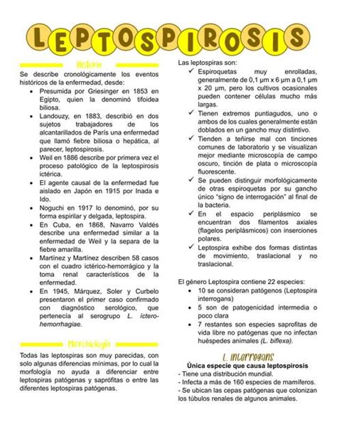 Leptospirosis Ana María Carreño Vásquez uDocz