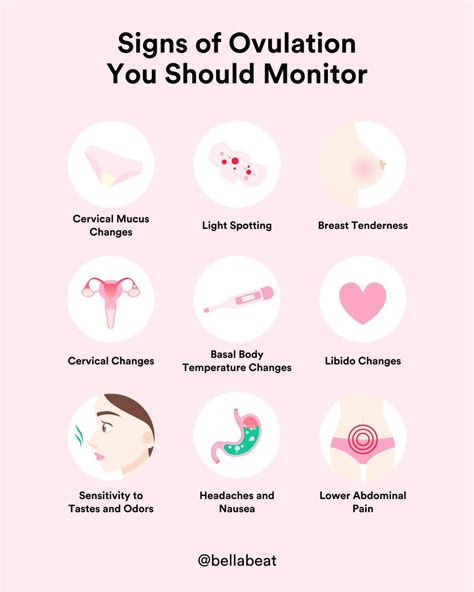 Ovulation Symptoms 10 Signs Of Ovulation You Should Monitor
