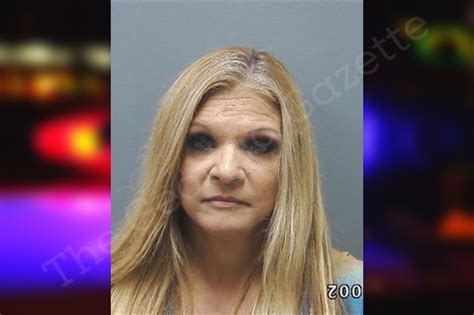 Allison Rhine Cherokee County Jail Bookings