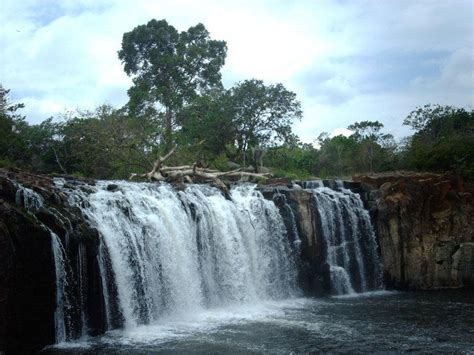 LAS 5 MEJORES Cosas Que Hacer En La Chorrera Actualizado 2024