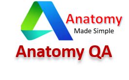 Palate Anatomy QA