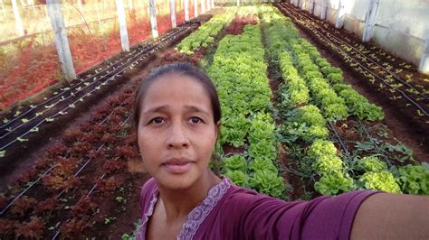 A Agricultura Ecol Gica Muito Importante Para A Nossa Sa De Pois Os