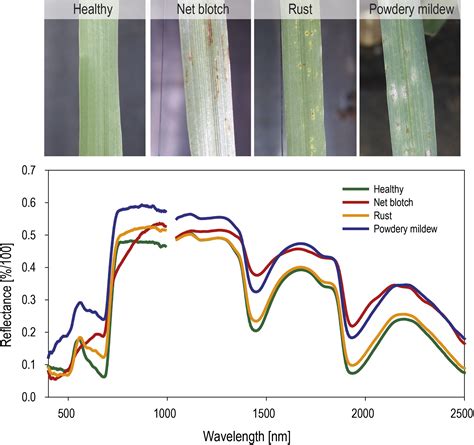 Plant Disease Detection By Imaging Sensors Parallels And Specific