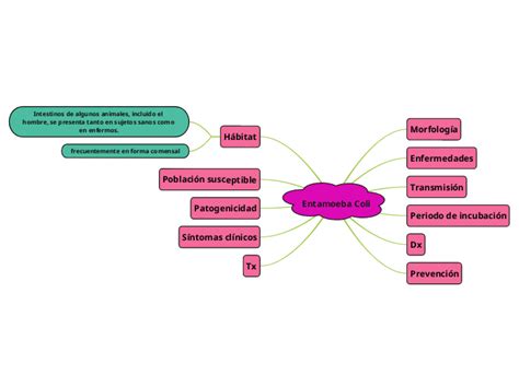 Entamoeba Coli Mind Map