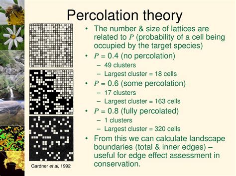 bcb 322 landscape ecology ppt download