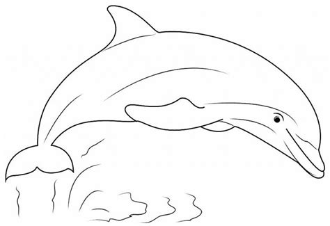 50 Desenhos De Golfinhos Para Colorir Como Fazer Em Casa