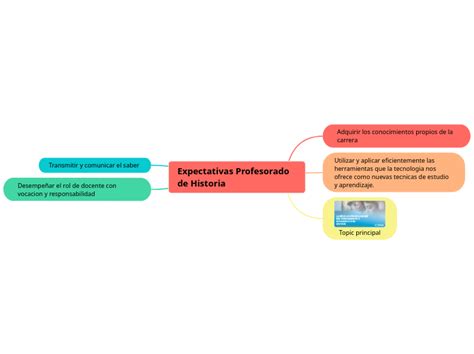 Expectativas Profesorado De Historia Mind Map