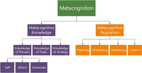 metacognition definition and efficient strategies