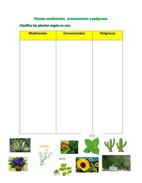 Ficha Online De Las Plantas Para Primero De Primaria Puedes Hacer Los