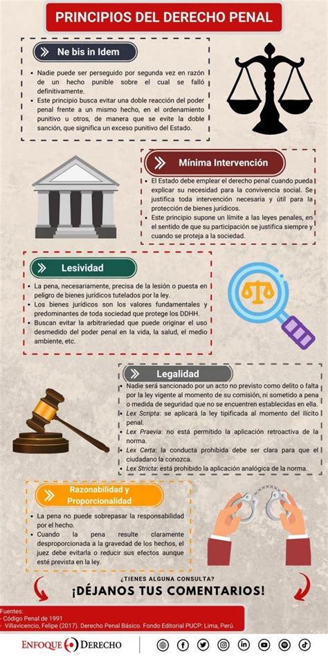 Infografía Principios del Derecho Penal Enfoque Derecho El Portal