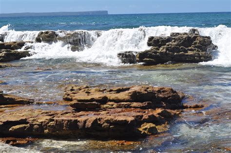 Sydney To Jervis Bay Road Trip
