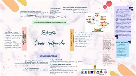 Mapa Mental Da Imunidade Adquirida Imunologia