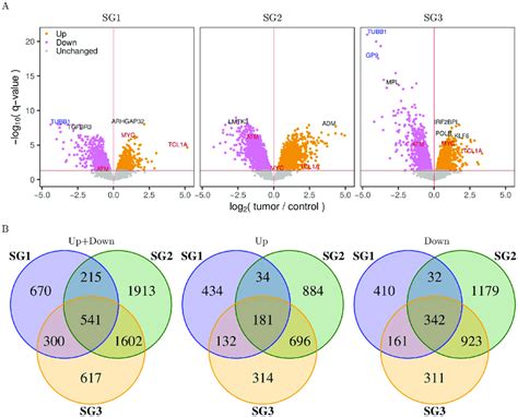 Differential Gene Expression Analysis Of T PLL Subgroups A Volcano