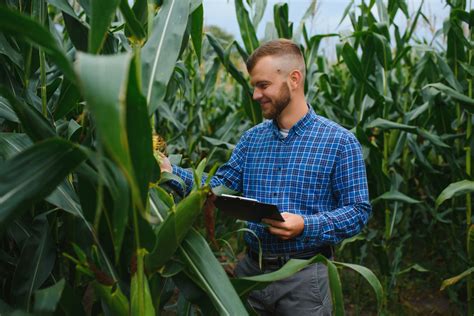 Productividad agrícola factores que influyen y cómo optimizar TOTVS
