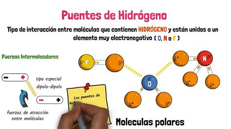 Puentes de Hidrógeno YouTube