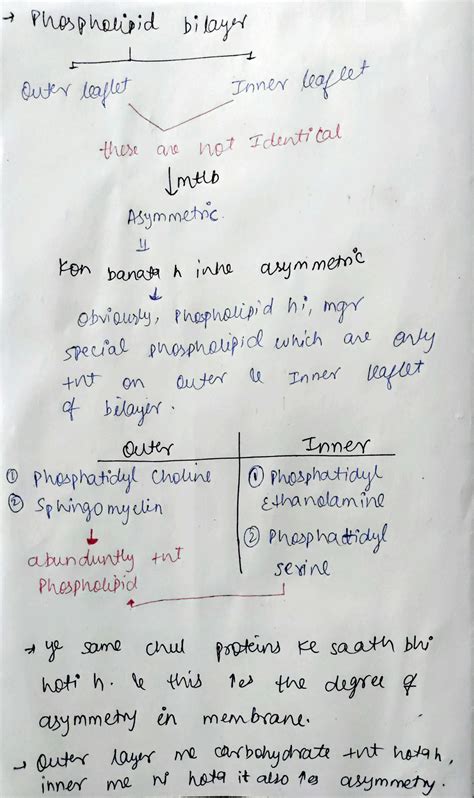 SOLUTION Dr Najeeb Histology Notes CELL MEMBRANE Lecture 1 2