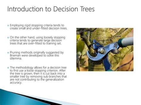 data science part v decision trees and random forests