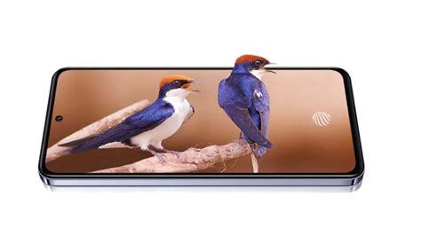 Vivo Y G Amoled