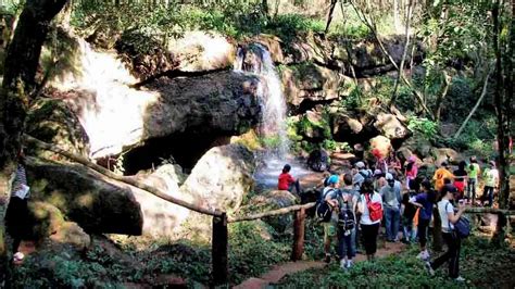 Inscrições abertas para a 11ª Caminhada Internacional na Natureza em