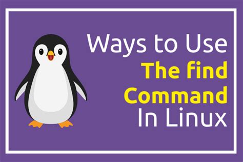 Ways To Use The Find Command In Linux Beebom