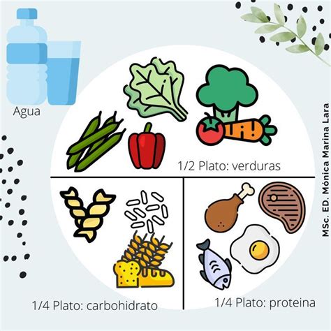 Como debería verse mi plato en 2024 Plato alimenticio Plato de