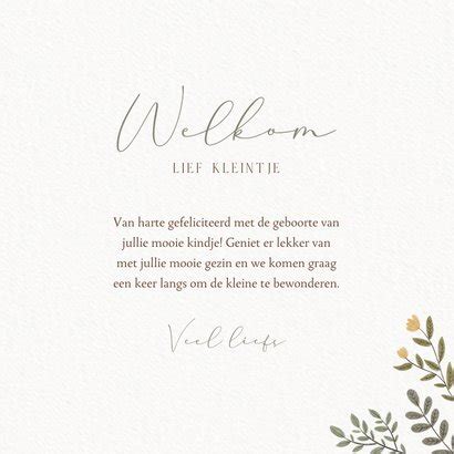 Felicitatiekaart Geboorte Met Beertje En Kaartje2go