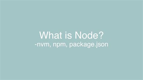 node js nvm npm package json 역할 이해하기
