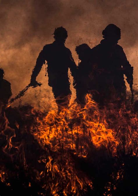 H Roes Cuando La Tierra Arde La Mayor A De Los Incendios Son Provocados