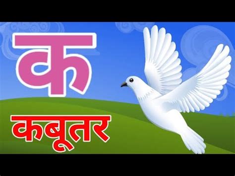 Ka Se Kabutar Kha Se Khargosh Hindi Varnmala