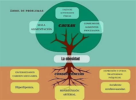 Causas Y Consecuencias Mi Proyecto Emprende
