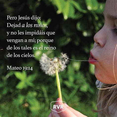 RVR Versículo Bíblico Diario Mateo 19 14