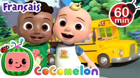Les Roues De Lautobus CoComelon L Heure De Cody Chansons Pour