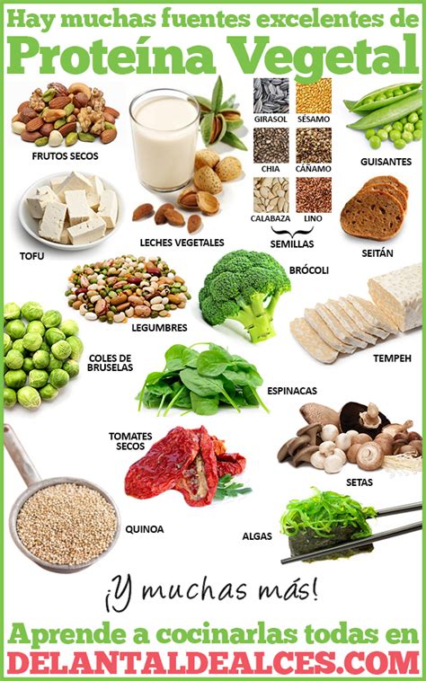 Alimentos vegetales con más proteínas Delantal de Alces
