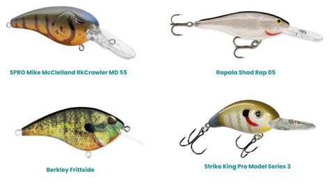 Best Crankbaits For Bass In Choose The Right One